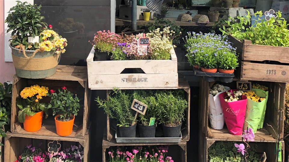 Fresh Ideas Florists Chesterfield Order Online 01246 275757