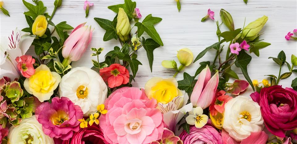 Fresh Ideas Florists Chesterfield Order Online 01246 275757